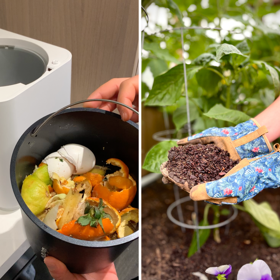 Composting Made Easy: How to Turn Kitchen Waste Into Garden Gold ...
