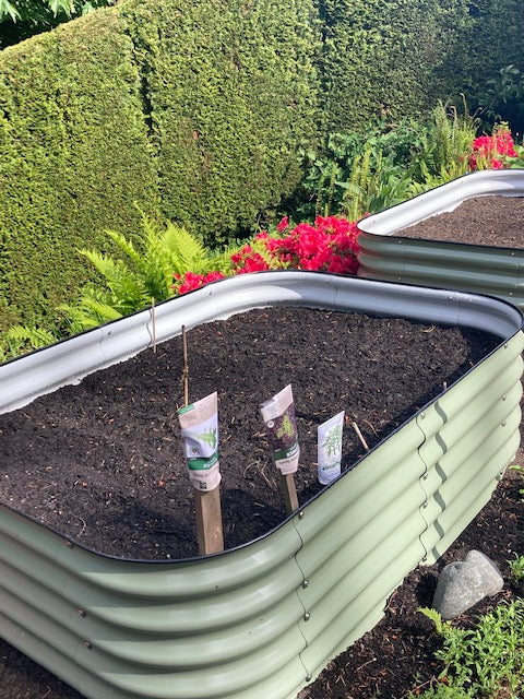 The Benefits of Raised Garden Beds: Why They’re a Smart Choice for You ...